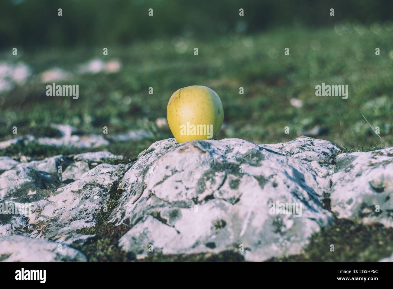 Gold apple fruit hi-res stock photography and images - Alamy