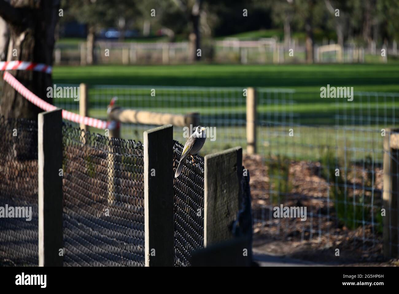 Chain link and wood fence hi-res stock photography and images - Alamy