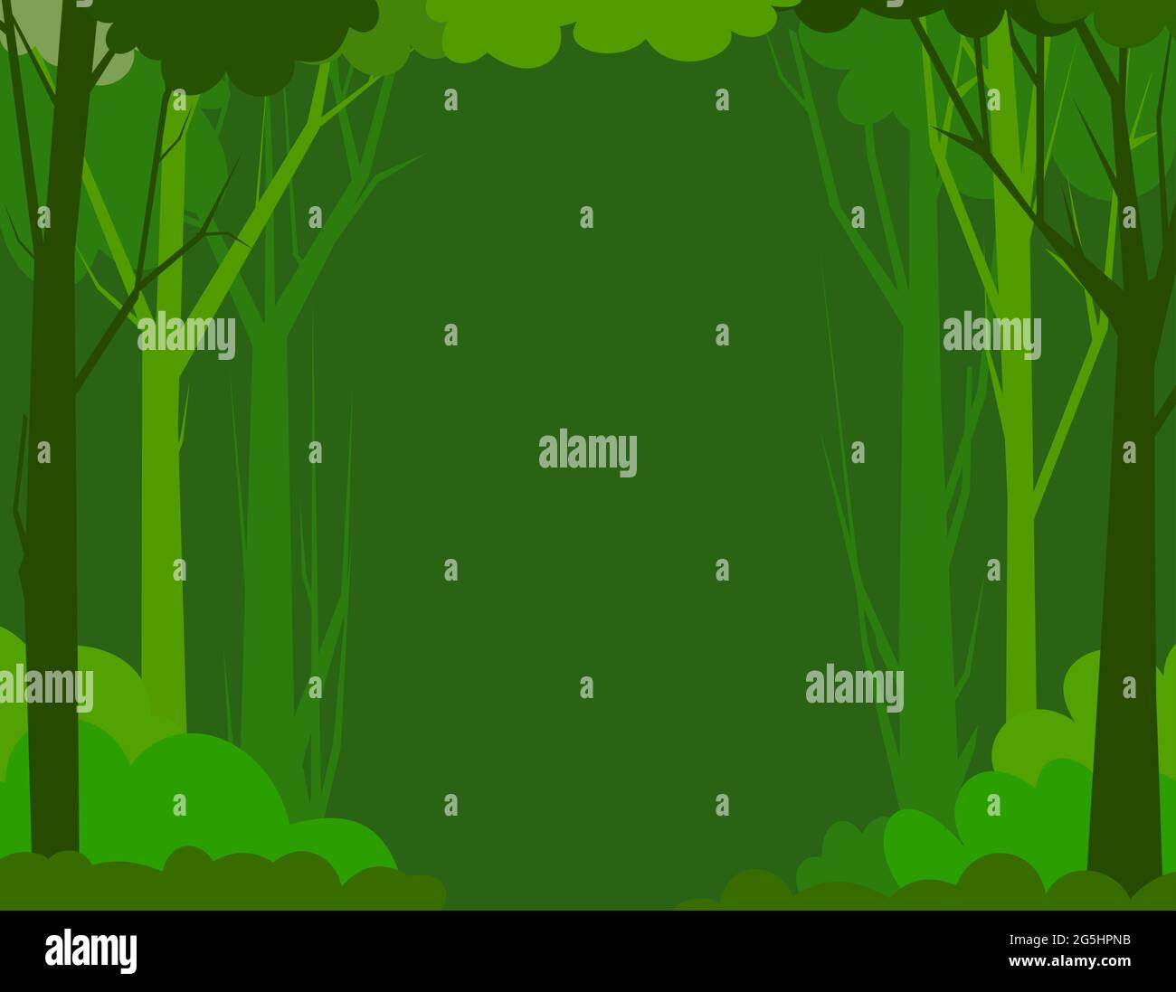 Forest landscape. Frame. Dense wild trees with tall, branched trunks ...