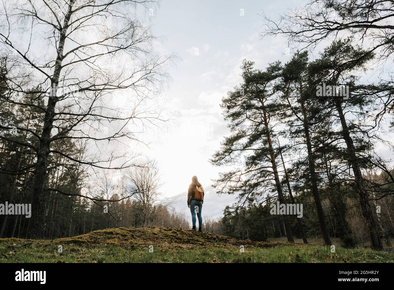 Rear view young female explorer hi-res stock photography and images - Alamy