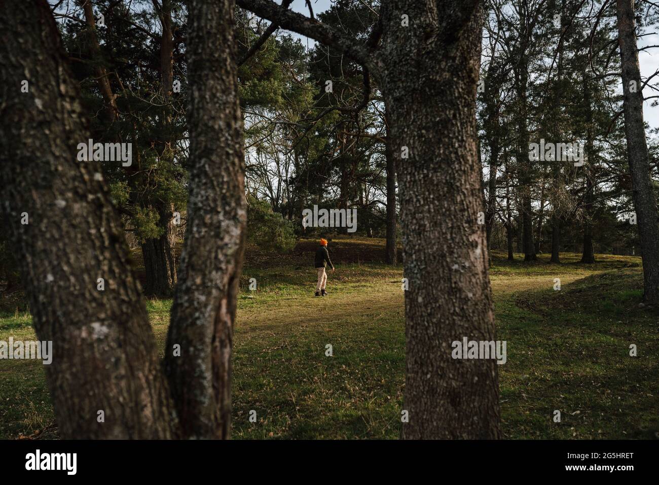 Explorer in nature hi-res stock photography and images - Alamy