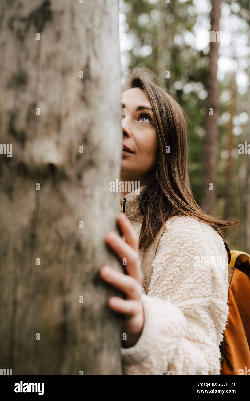 Tree in forest hi-res stock photography and images - Alamy