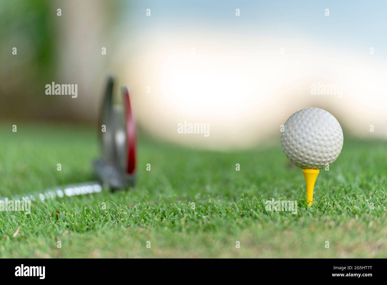 Golf ball on tee in golf field with recreation sport training course ...
