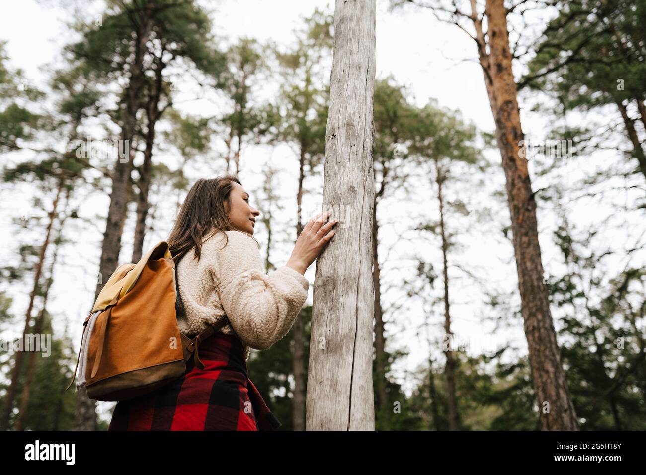 Hiker standing by tree hi-res stock photography and images - Alamy