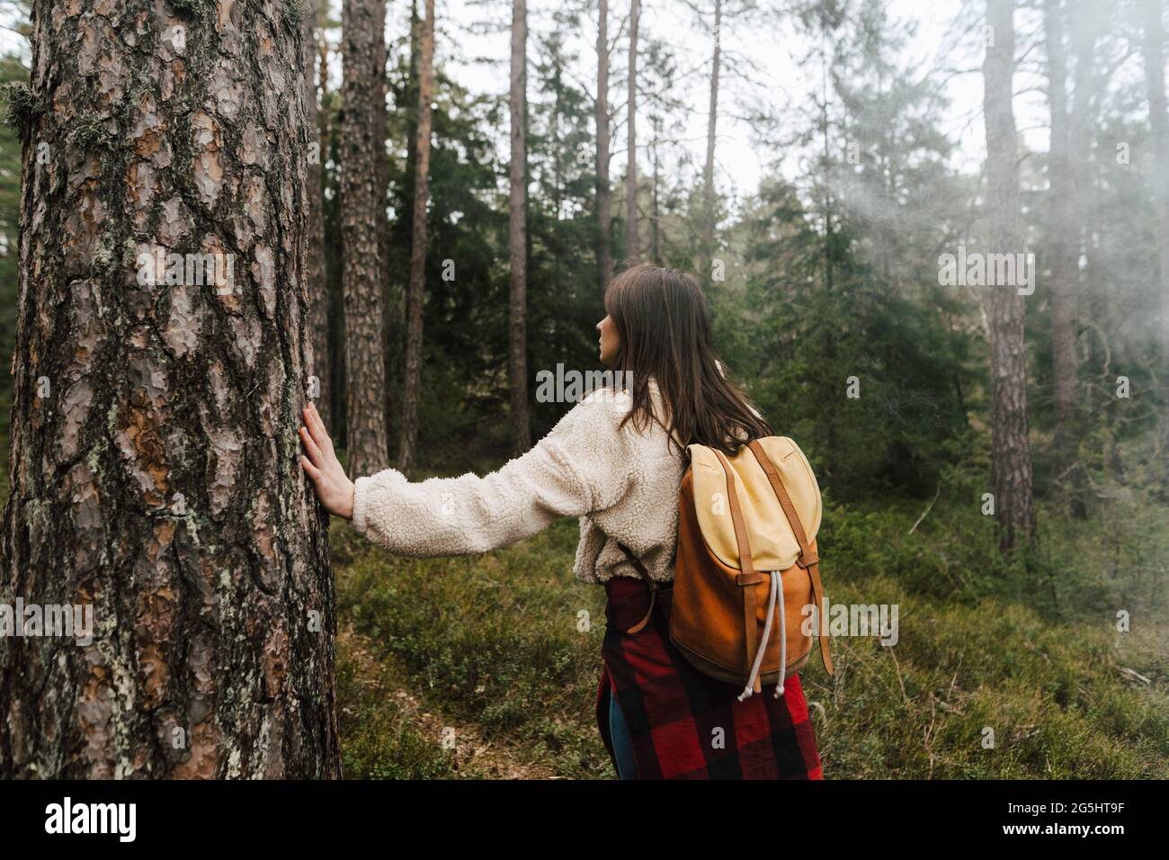Rear view of female explorer walking in forest Stock Photo - Alamy