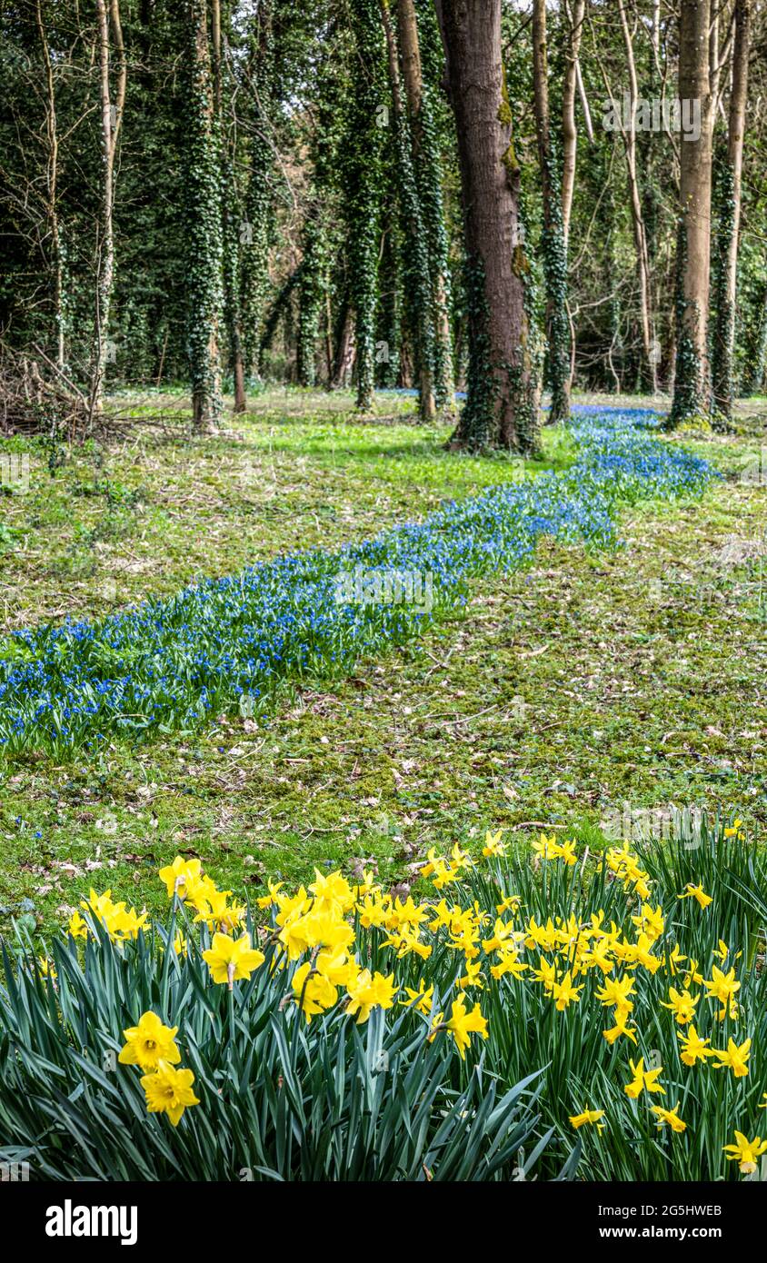 0313 hi-res stock photography and images - Alamy