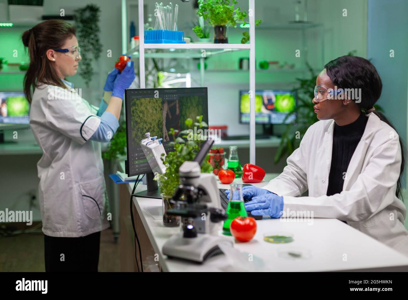 Biologist researcher typing gmo expertise on computer for scientific ...