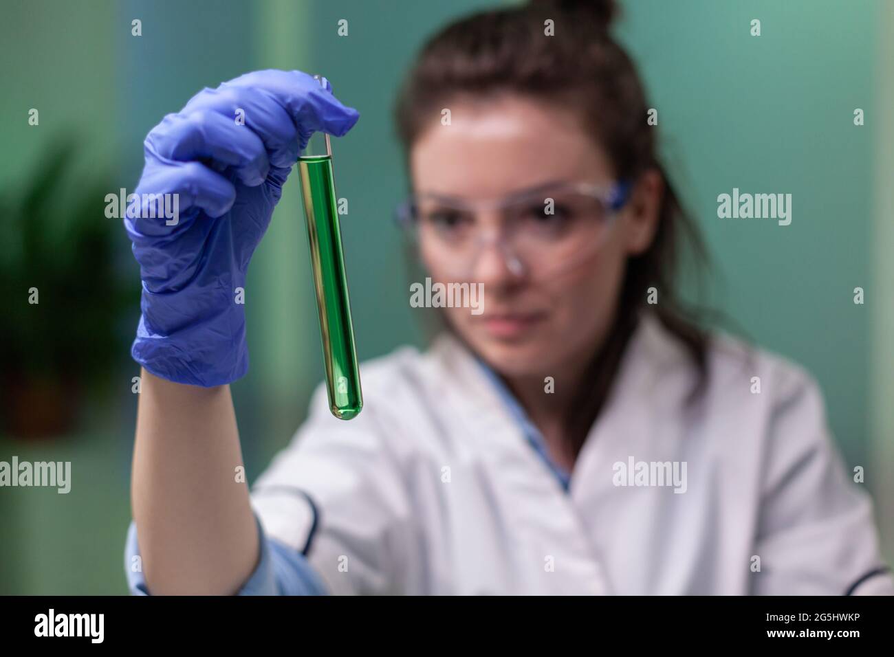 Closeup of scientist woman looking at test tube with dna sample ...