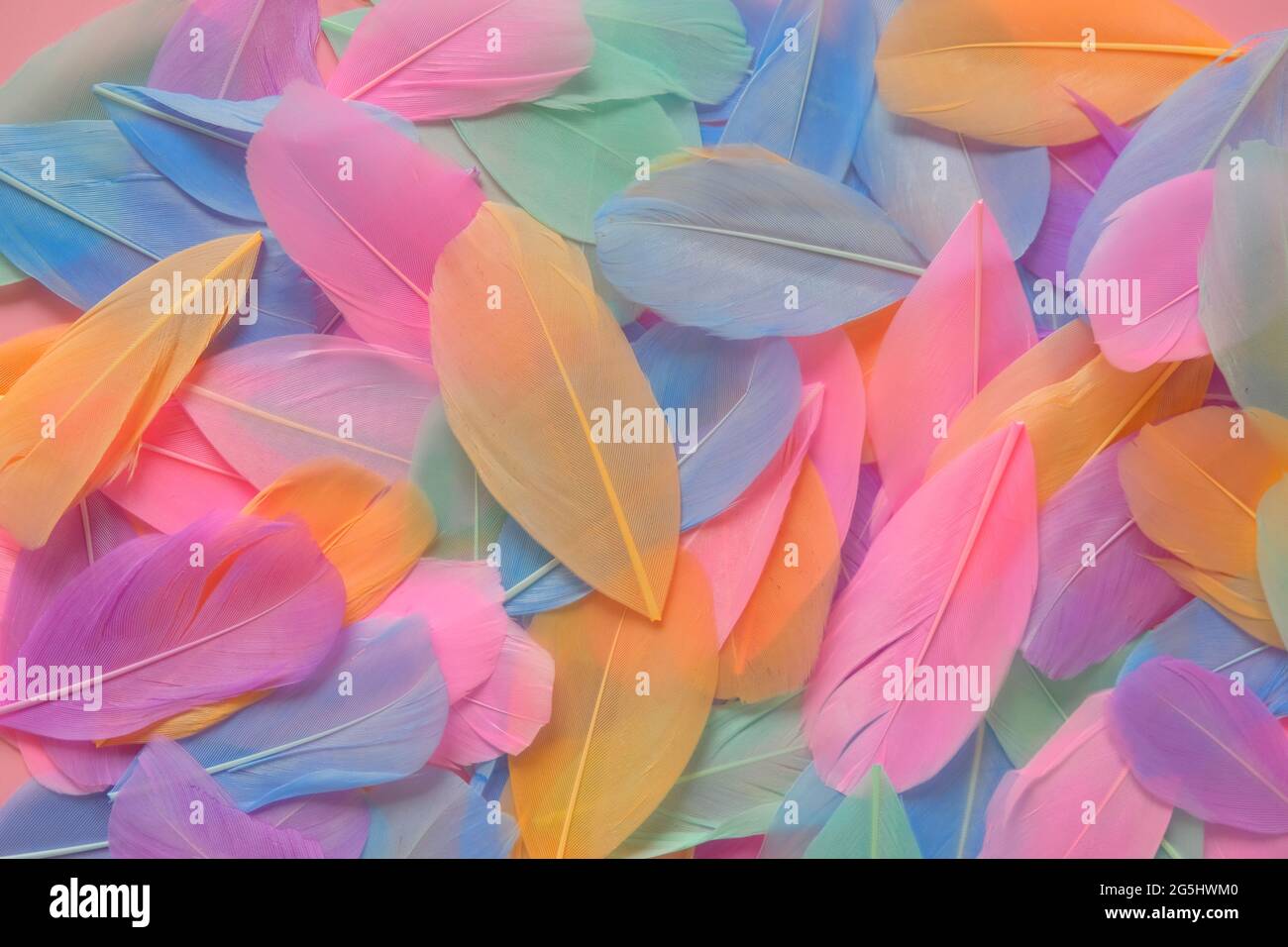 feathers background in pastel colors.Feathers texture. feathers surface ...