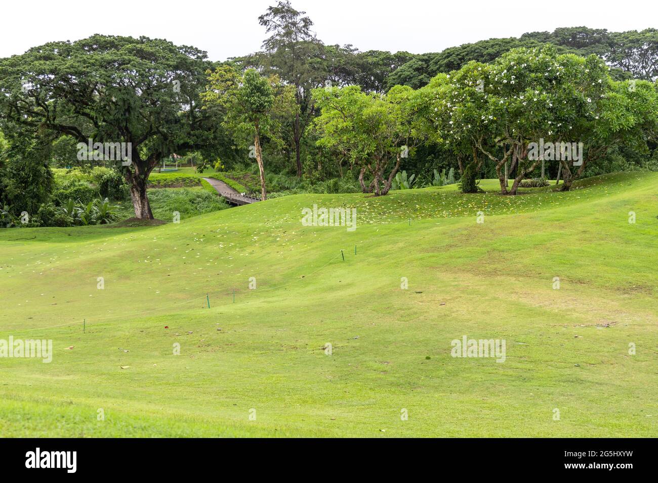 beautiful landscape at golf course in the Philippines Stock Photo - Alamy