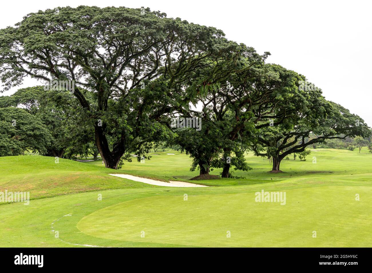 beautiful landscape at golf course in the Philippines Stock Photo - Alamy
