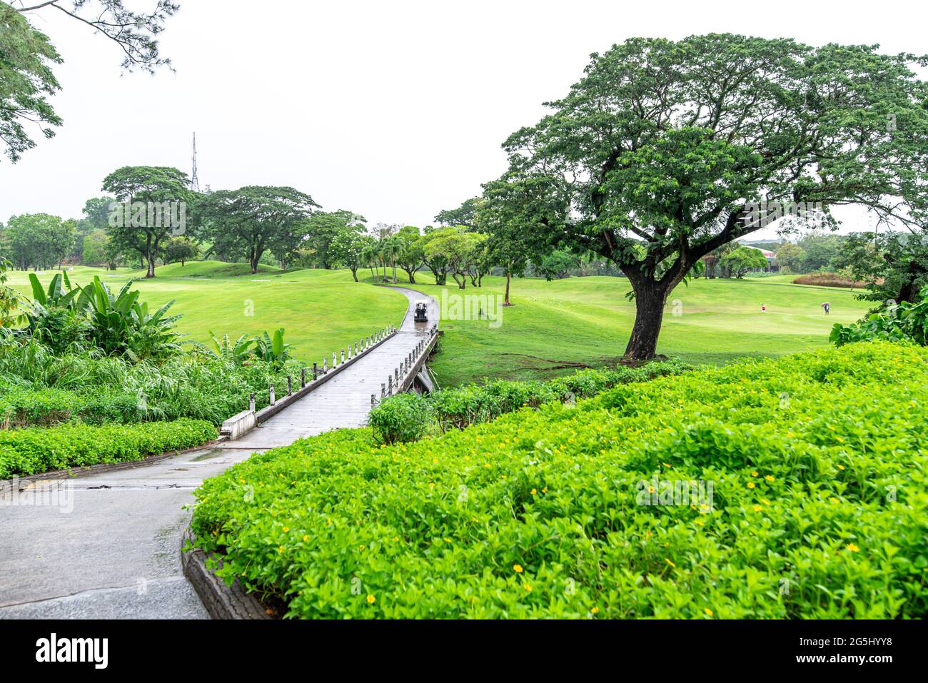 beautiful landscape at golf course in the Philippines Stock Photo - Alamy