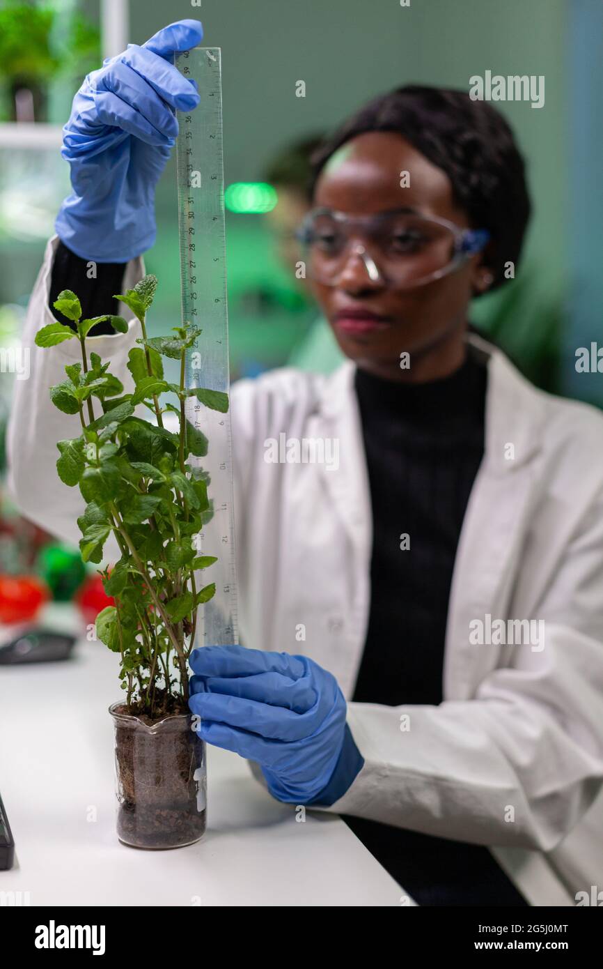 African researcher measure sapling for botany experiment working in ...