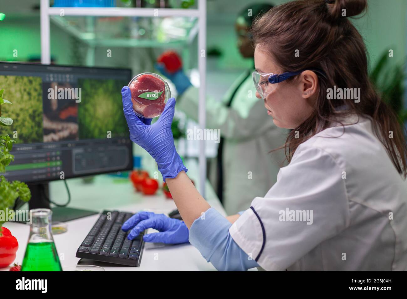 Chemist woman analyzing vegan beef meat for biochemistry experiment ...