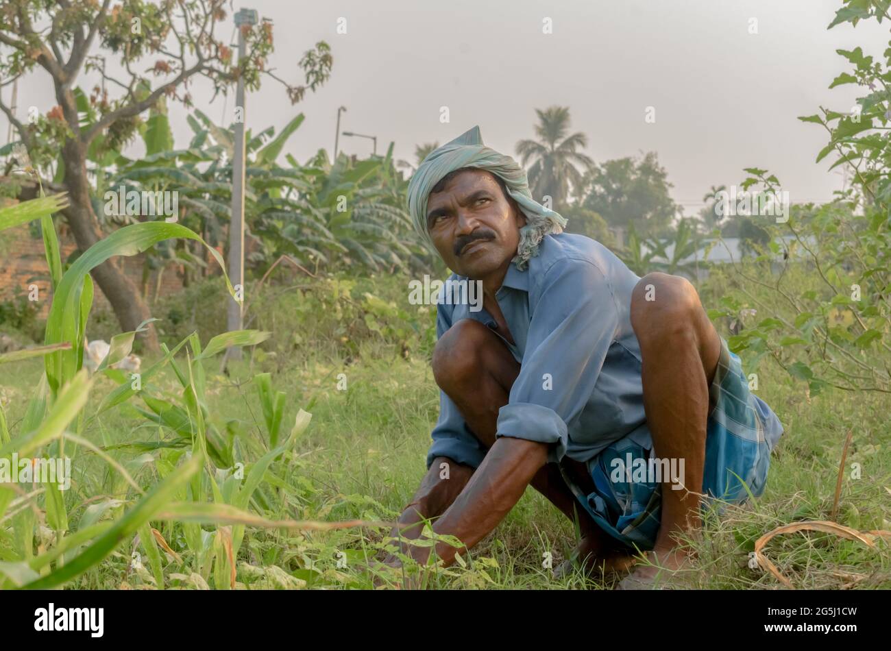 Indian rural farmer man sitting hi-res stock photography and images - Alamy