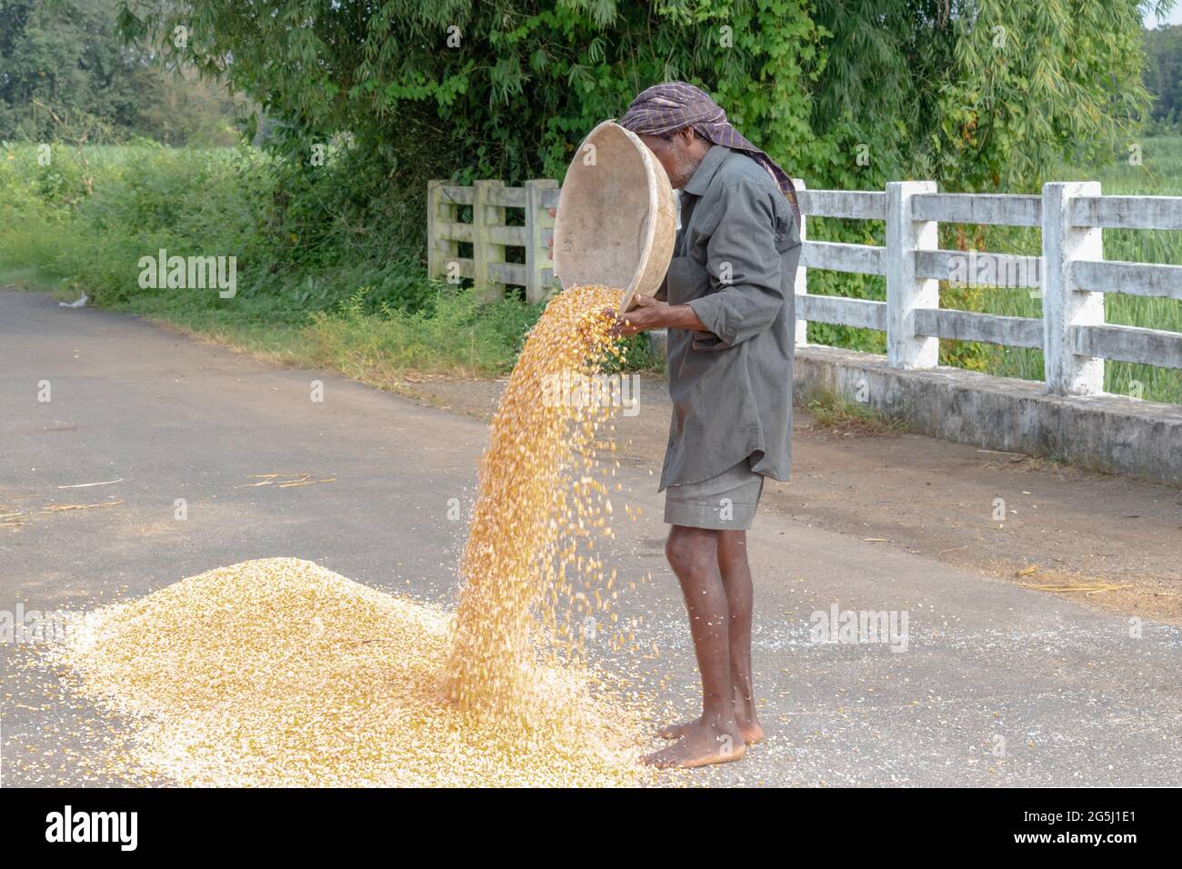 Winnowing Grain High Resolution Stock Photography and Images - Alamy