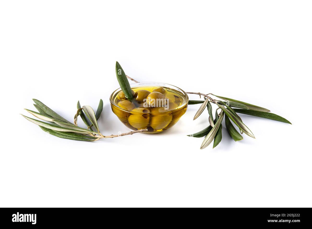 Olive color and yellow Cut Out Stock Images & Pictures - Alamy