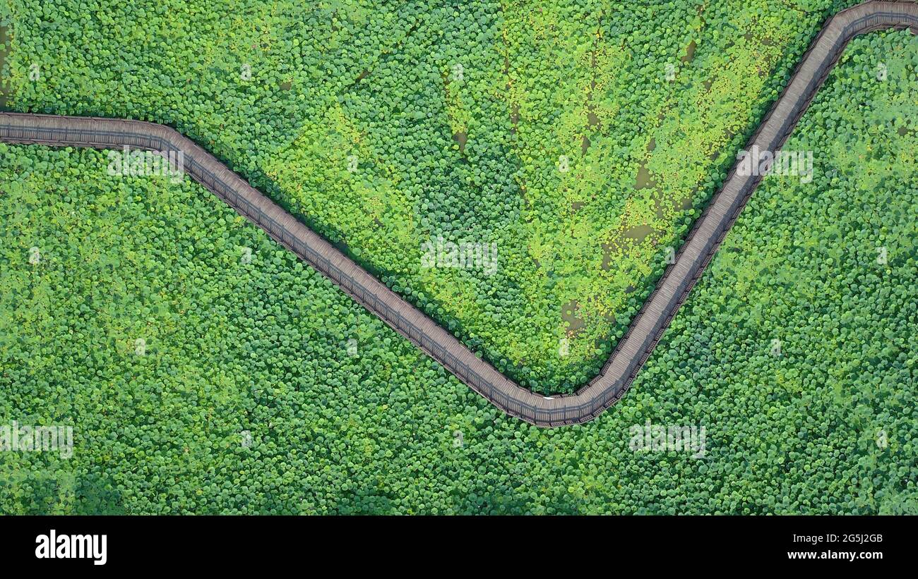 Binzhou, Binzhou, China. 28th June, 2021. On June 27, 2021, aerial ...