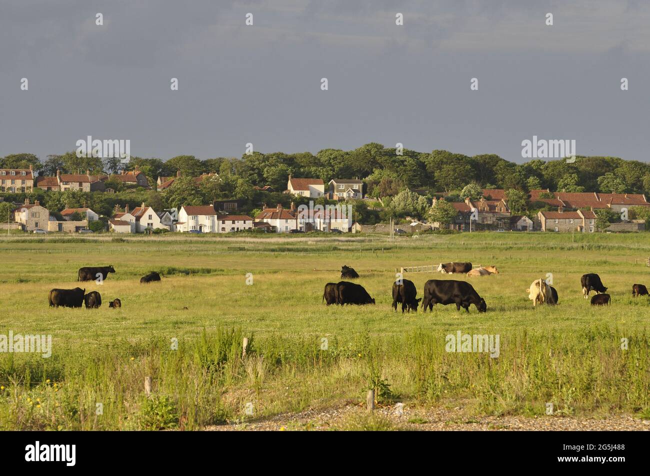 Coastal grazing marsh hi-res stock photography and images - Alamy