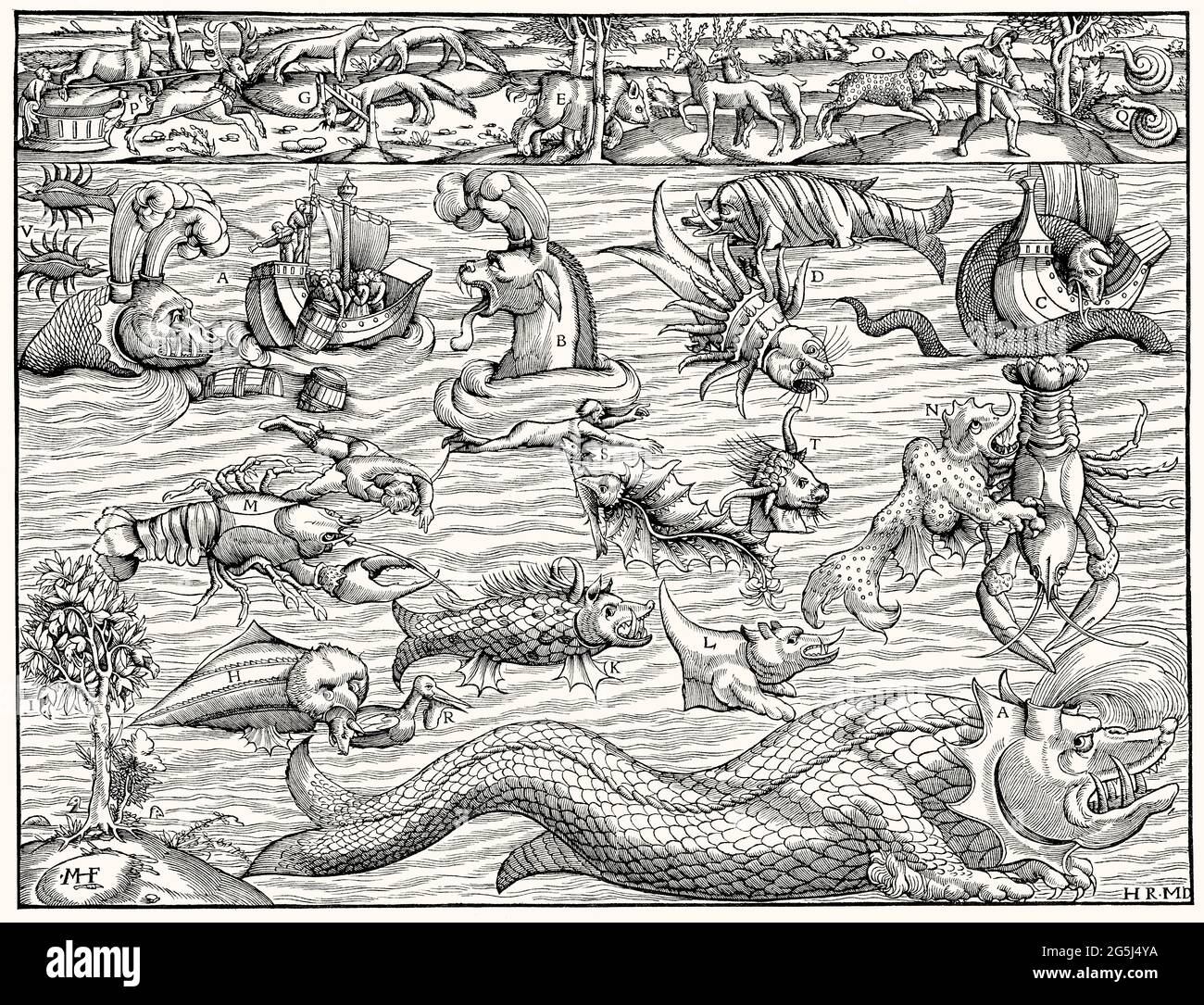 Mythical sea creatures hi-res stock photography and images - Alamy