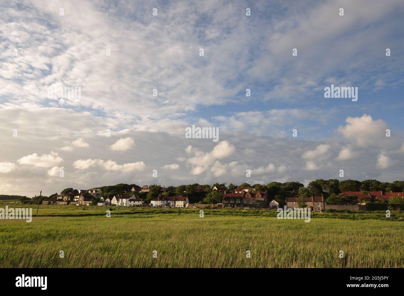 Houses looking over the marsh at Cley-next-the-Sea, north Norfolk ...