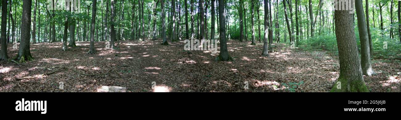 Turn to ash hi-res stock photography and images - Alamy