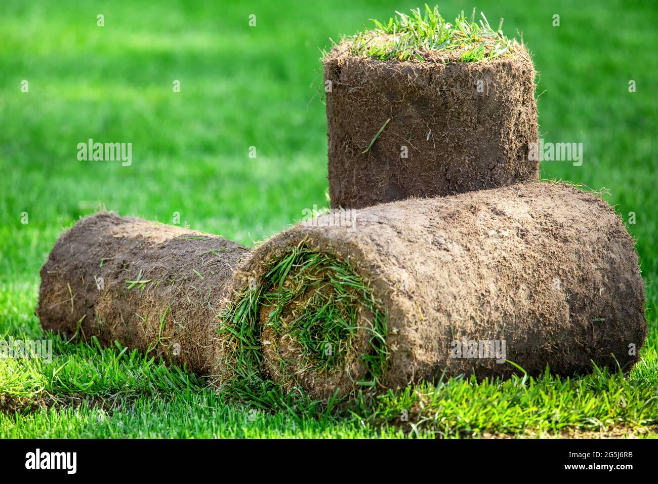 Three rolls of lawn grass in the backyard on a sunny day Stock Photo ...