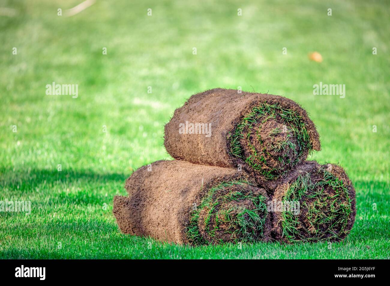 Three rolls of lawn grass on the lawn. Ready grass for use in ...