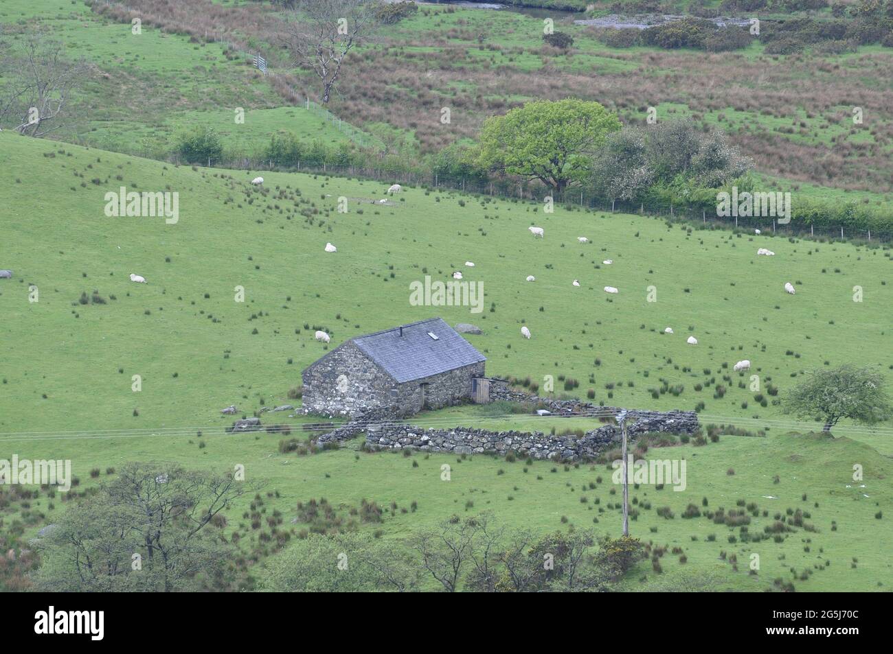 Looking west below the B4418 at OS grid 658534 west of Rhyd-Ddu ...