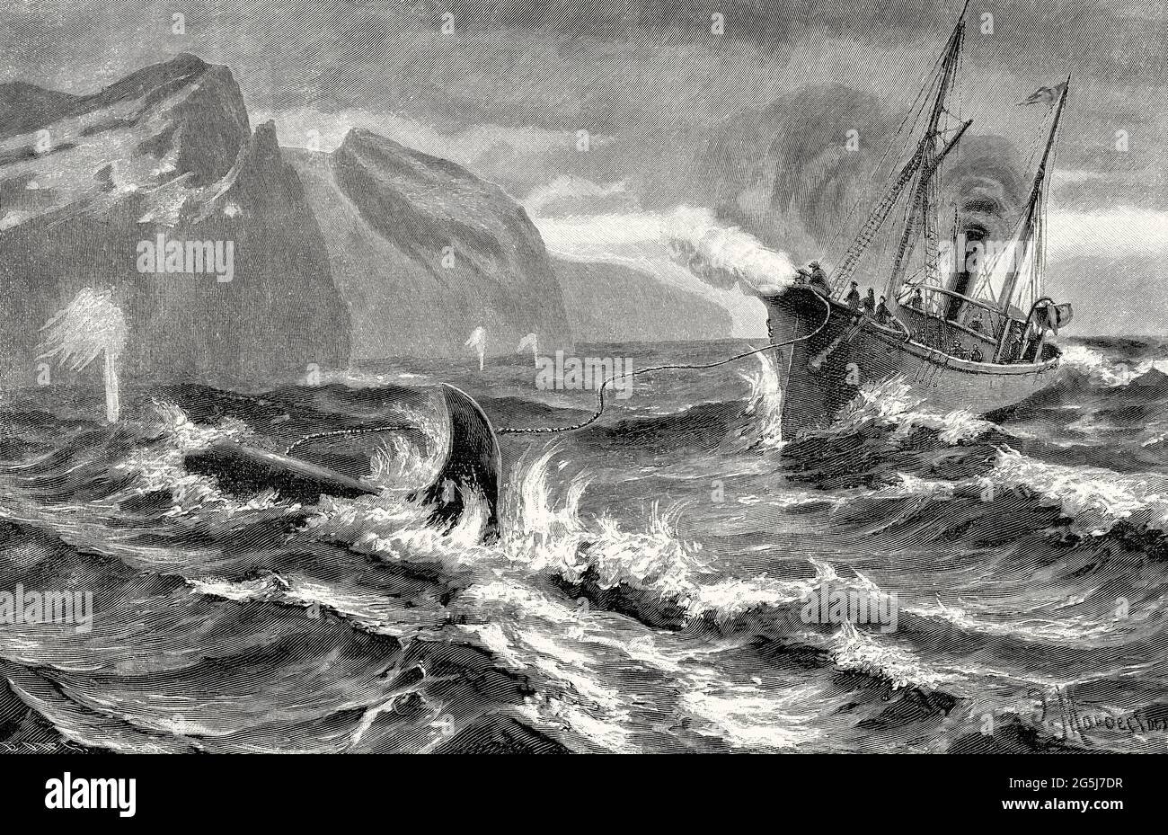 Whaling at the Siberian coast with a harpoon fired from a cannon, 19th ...