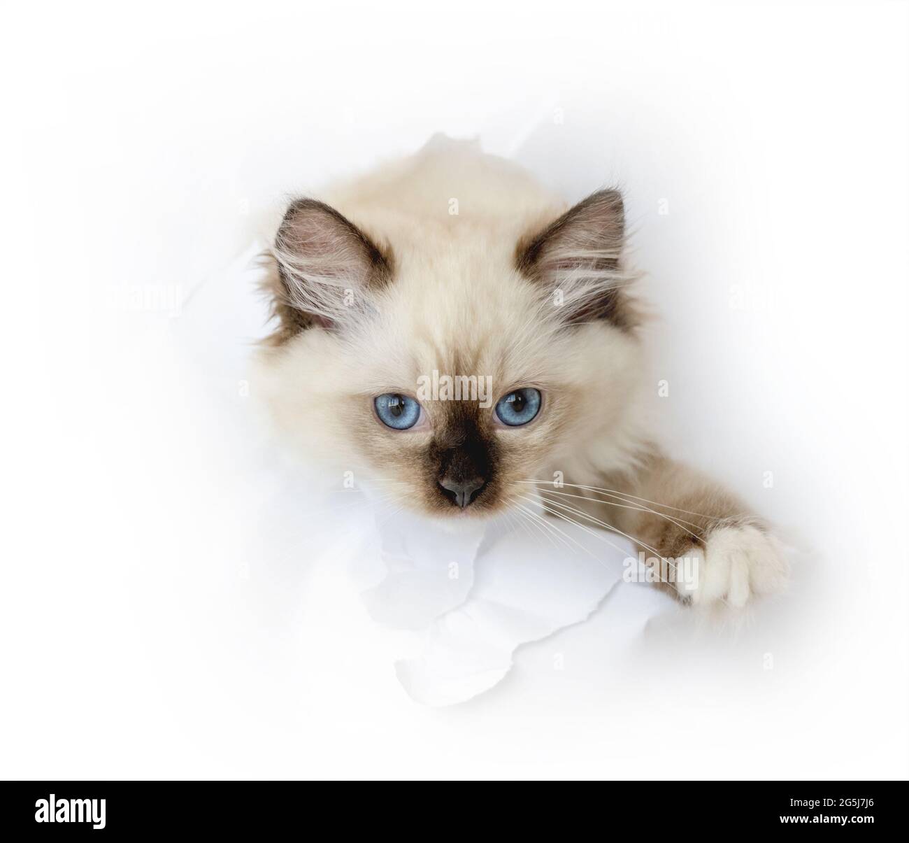 Light sitting room Cut Out Stock Images & Pictures - Alamy