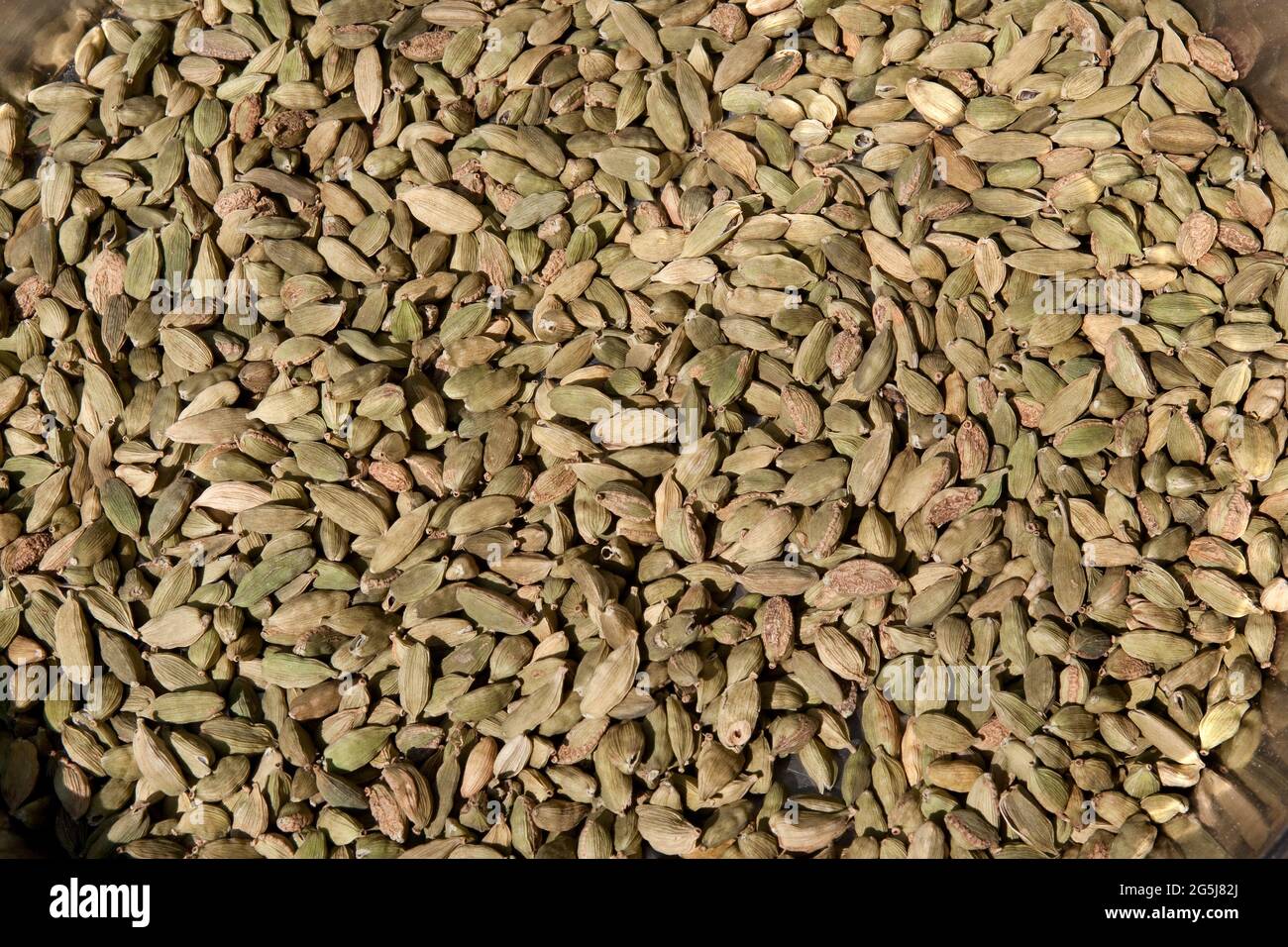 Cardamom pods drying Stock Photo - Alamy
