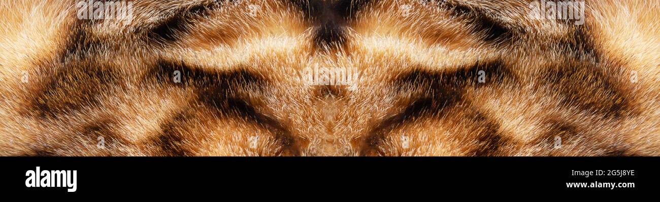 Cat fur bengal cat texture background. Close-up Stock Photo - Alamy
