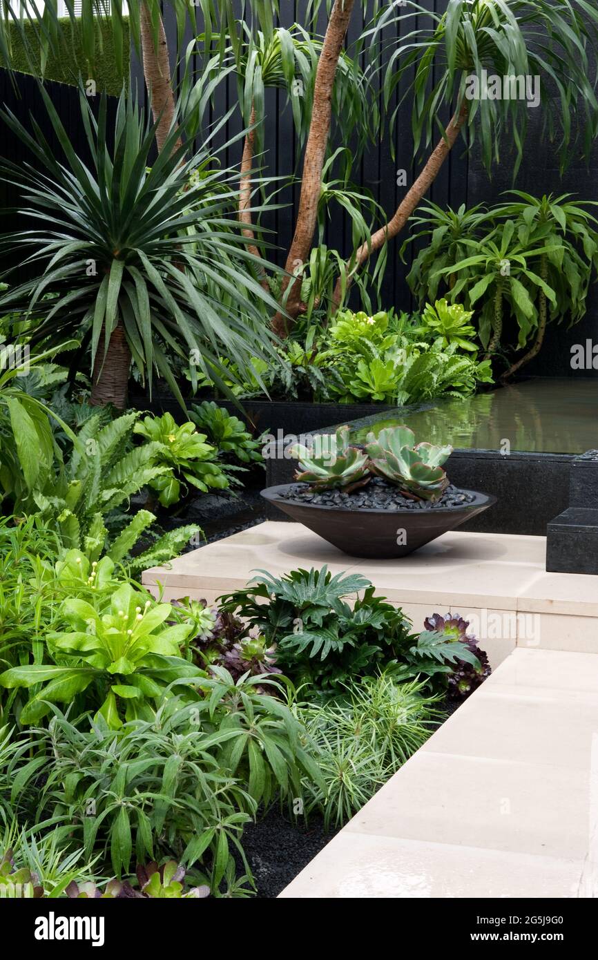 Modern courtyard garden on a tropical theme with white paving and black ...