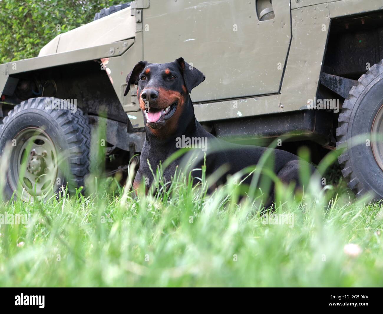 Land rover series iii hi-res stock photography and images - Alamy