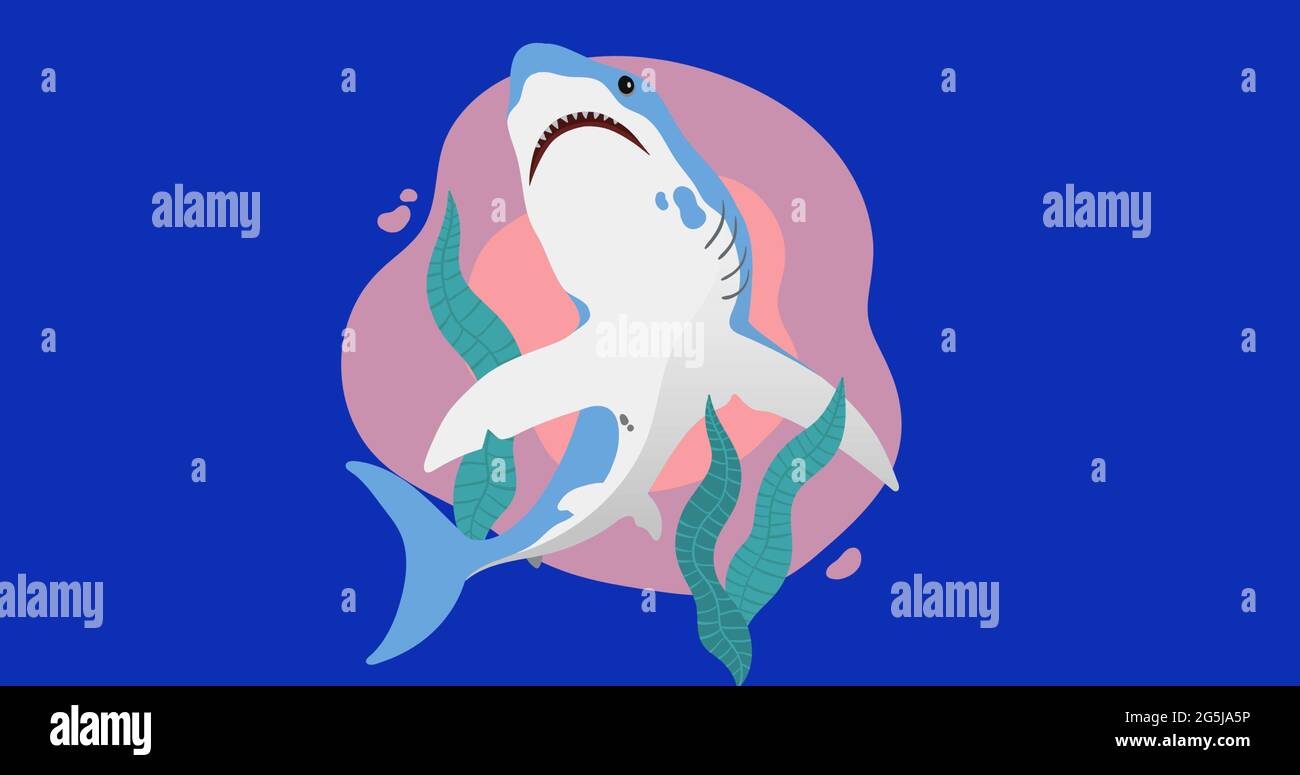 Shark background hi-res stock photography and images - Alamy