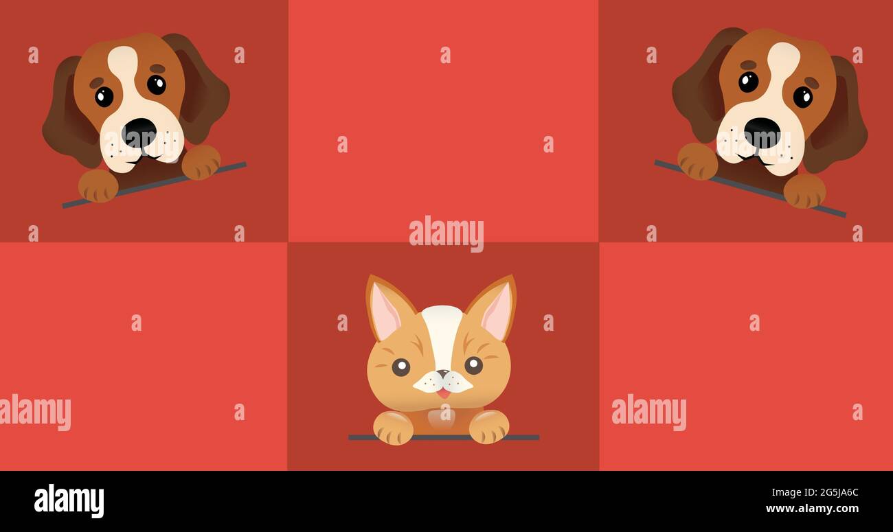 Composition of three dogs over red checkered background Stock Photo - Alamy