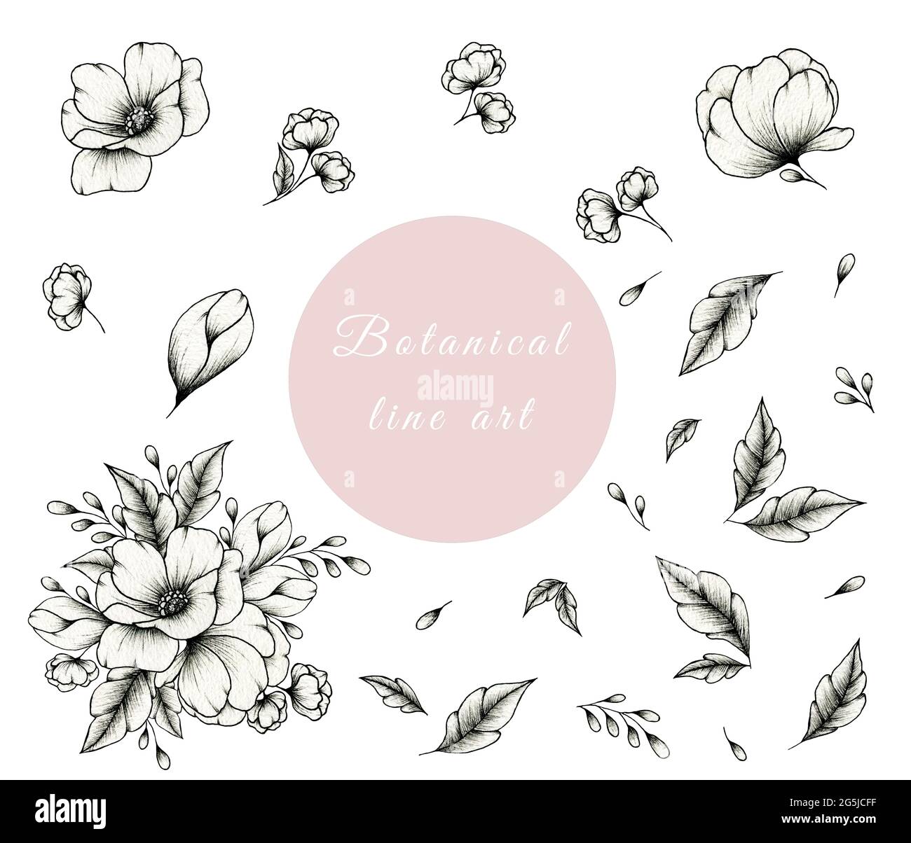 Floral ink fine line collection isolated on white, vintage set of ...