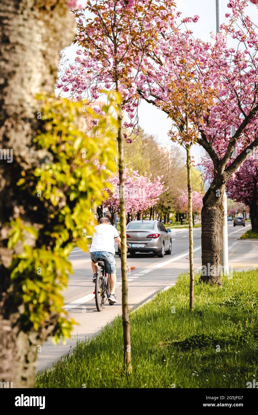 Person riding bike on side of main road in city at spring with colorful ...