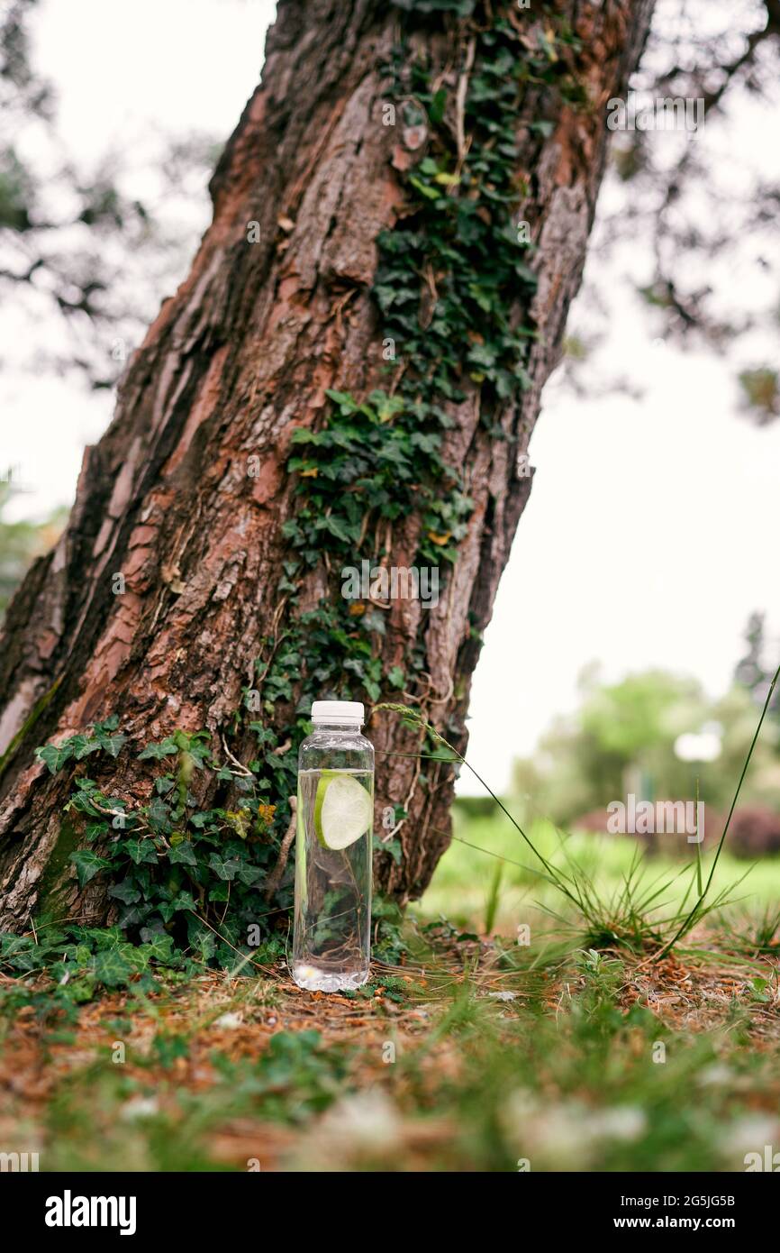 Plastic entwined tree hi-res stock photography and images - Alamy