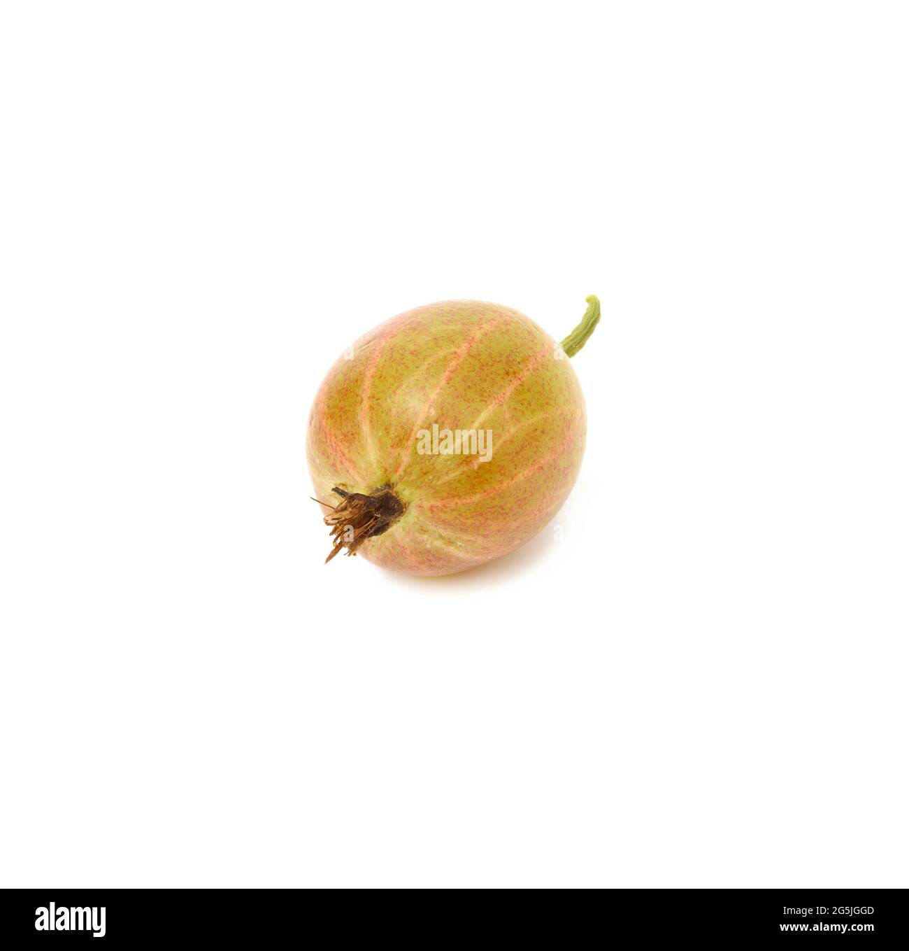 green gooseberrie isolated on white background, close up Stock Photo ...