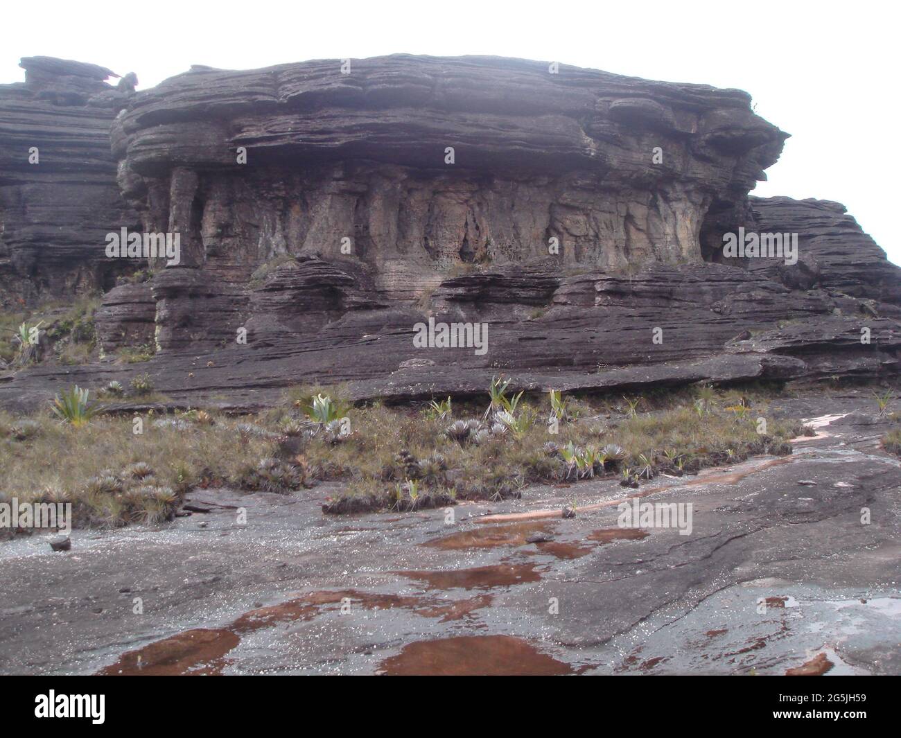 Many stone formations on the climbing path of Mount Roraima in ...