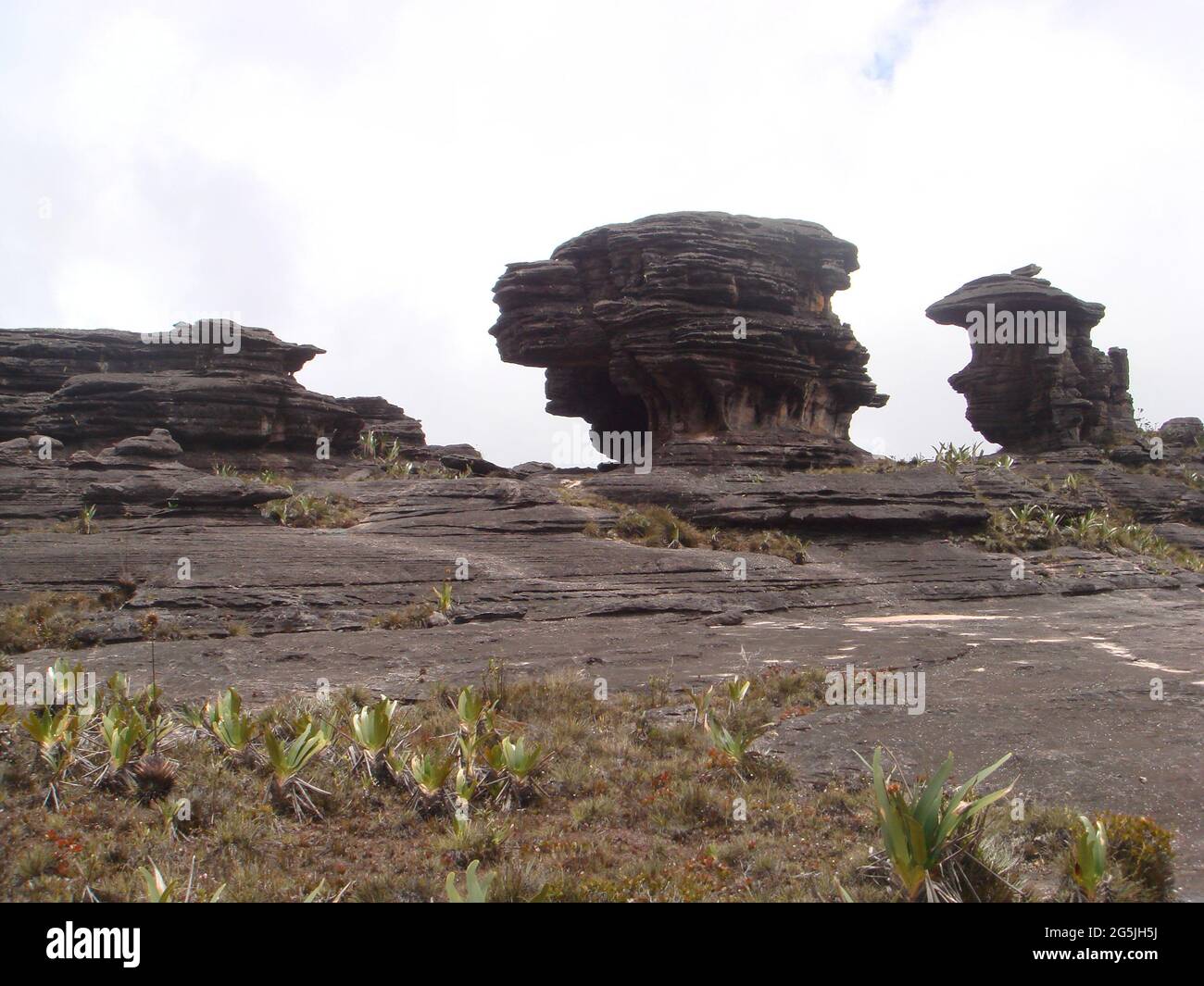 Many stone formations on the climbing path of Mount Roraima in ...