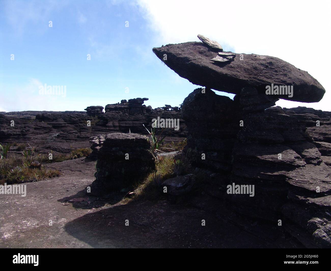 Vertical shot of stone formations on the climbing path of Mount Roraima ...
