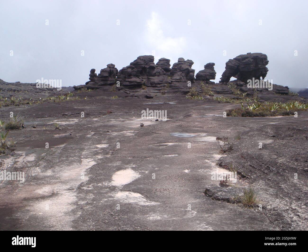 Many stone formations on the climbing path of Mount Roraima in ...