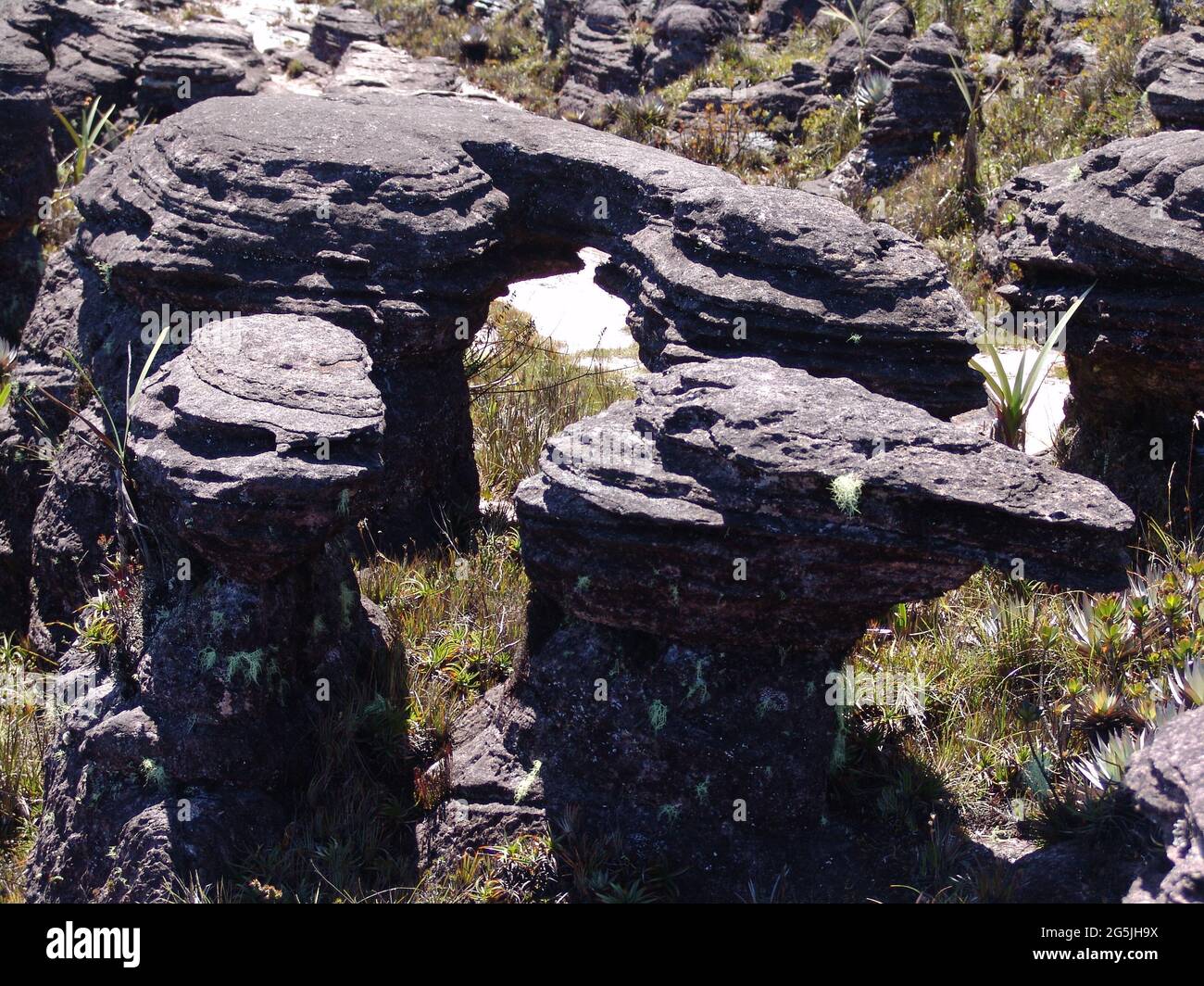 Many stone formations on the climbing path of Mount Roraima in ...