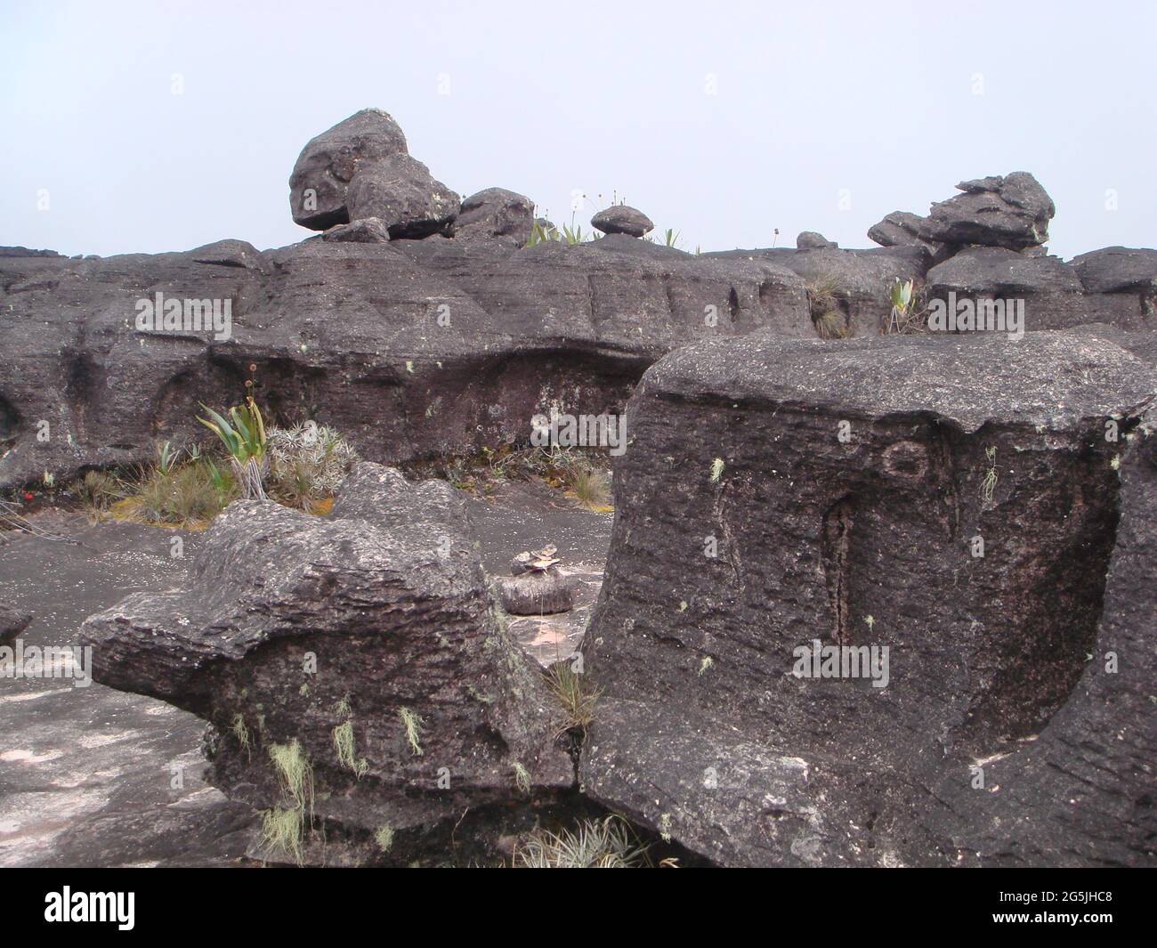 Many stone formations on the climbing path of Mount Roraima in ...