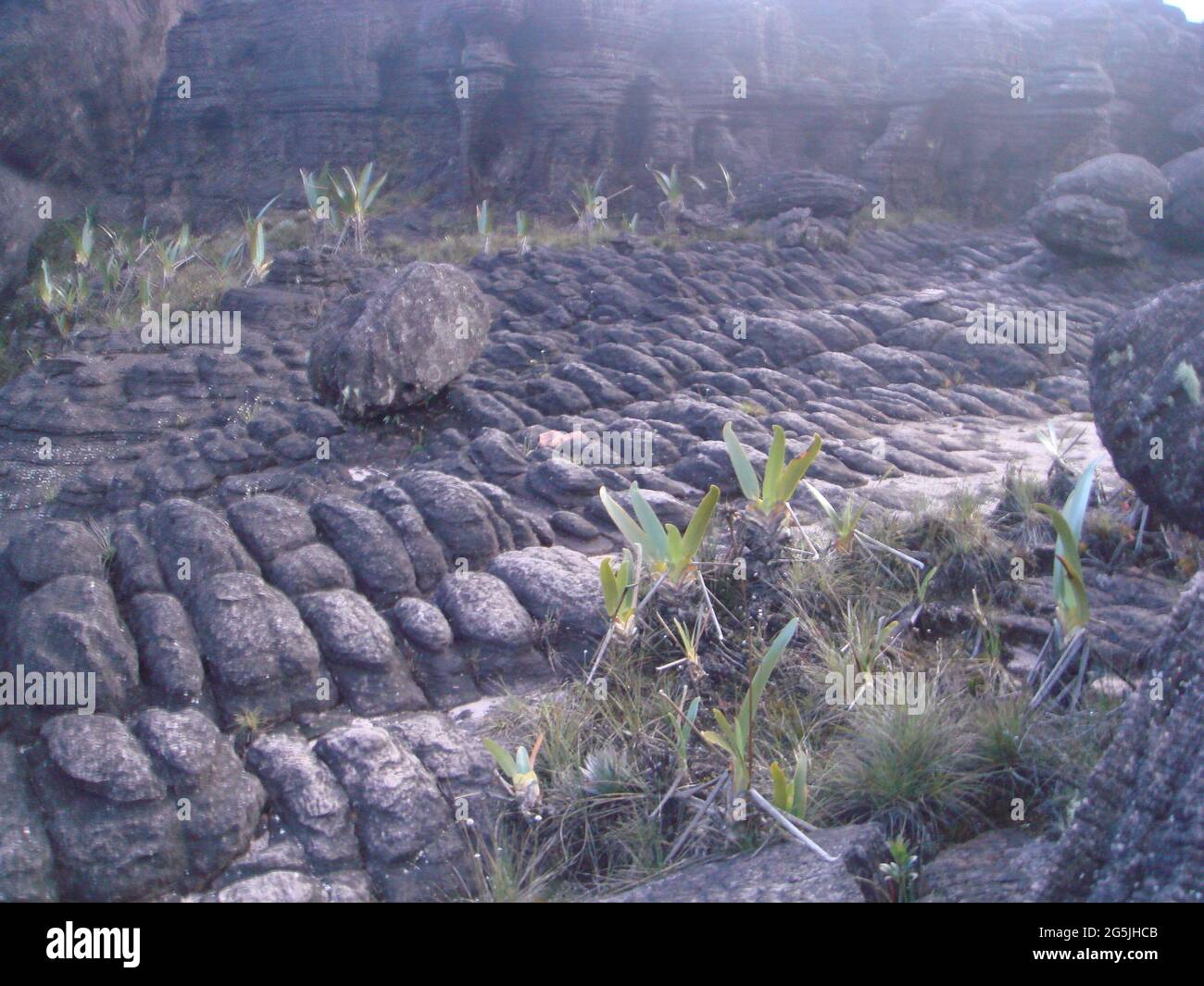 Many stone formations on the climbing path of Mount Roraima in ...