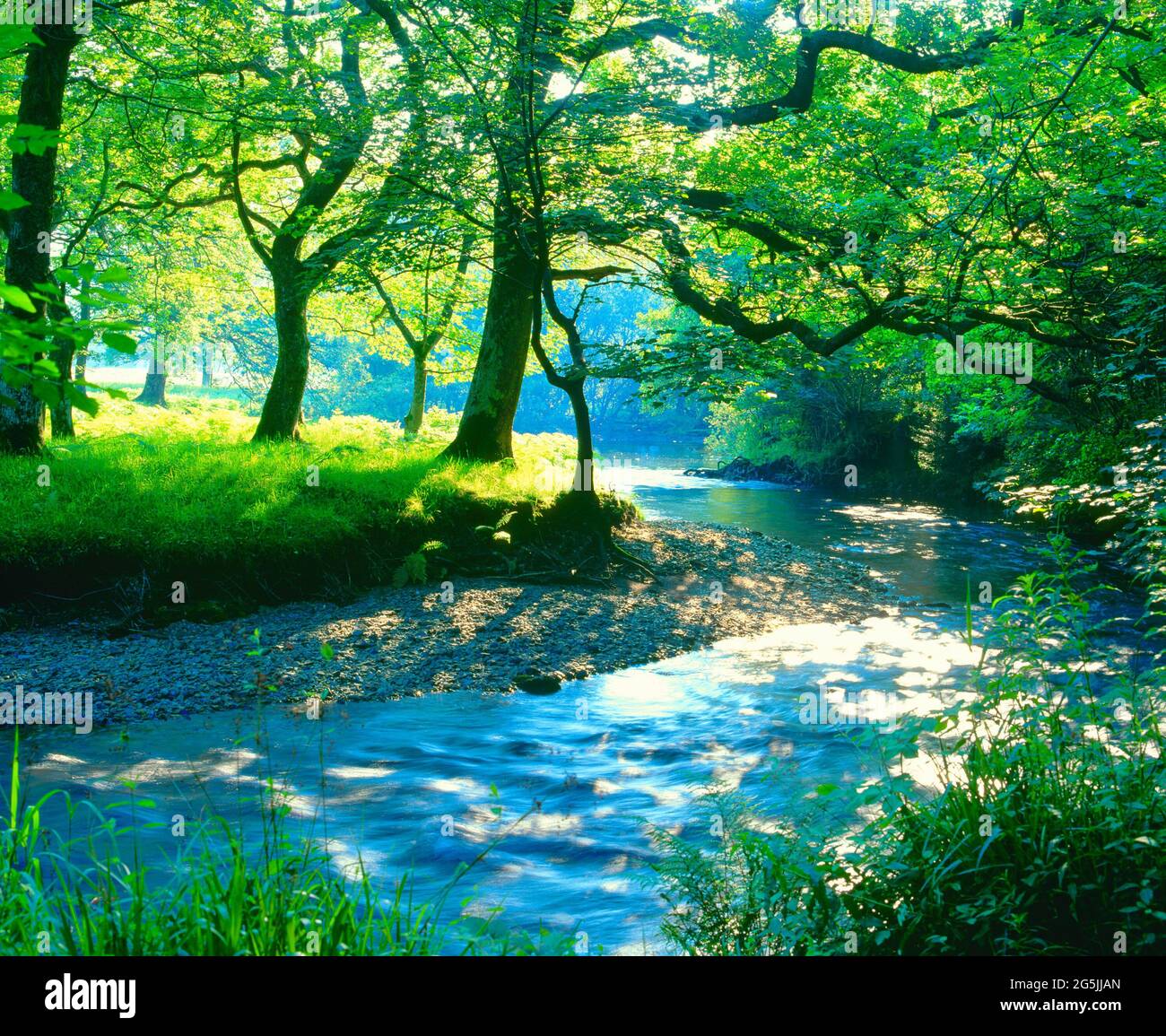 River cocker uk hi-res stock photography and images - Alamy