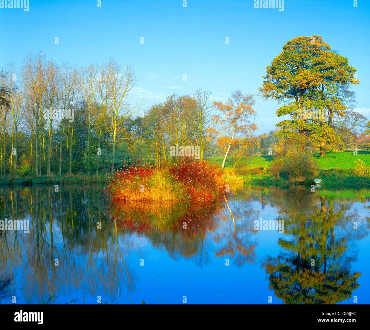 rural lake, with autumn foliage, UK Stock Photo - Alamy